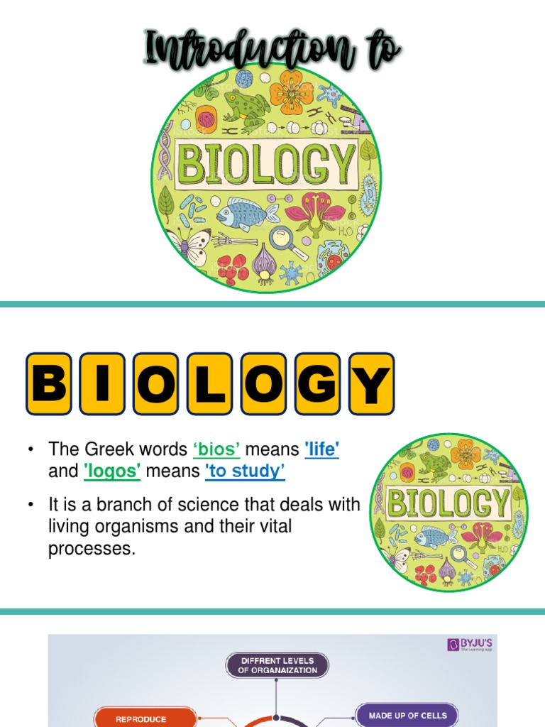 Introduction To Biology and Its Branches, Levels of Biological ...