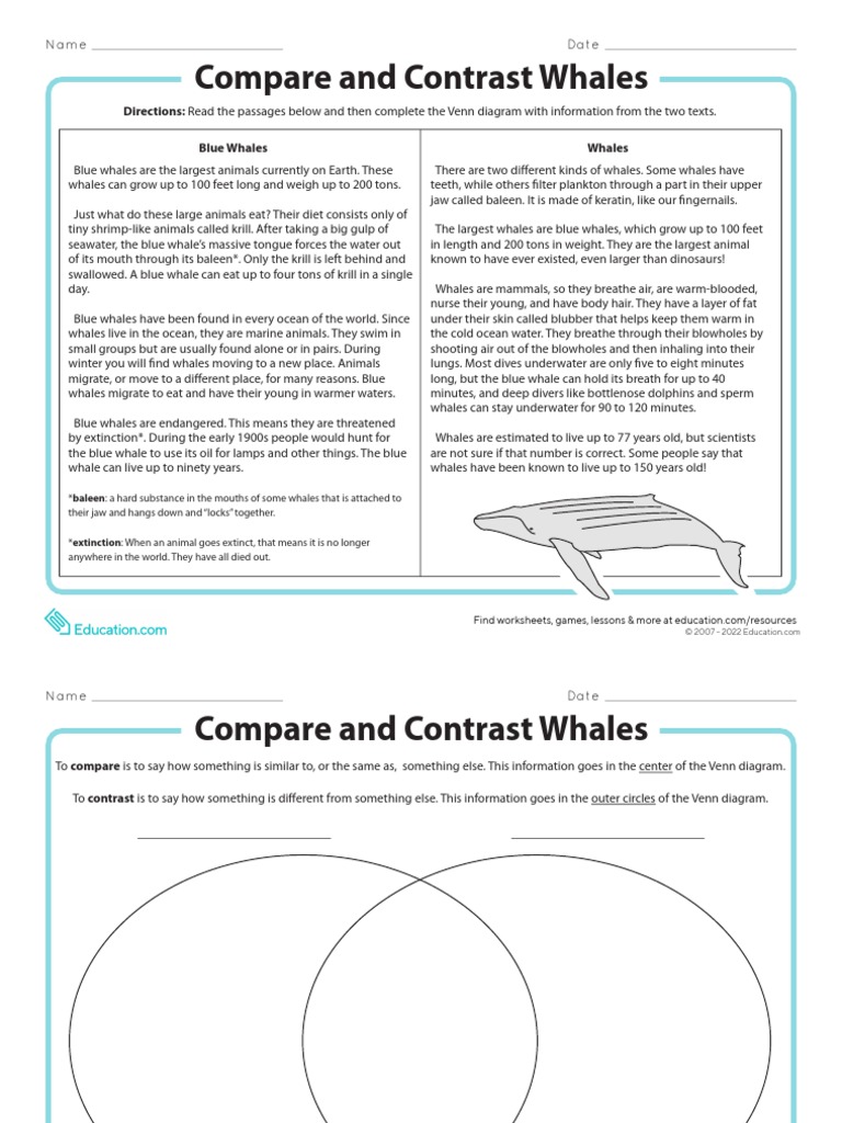 Compare and Contrast Whales | PDF | Whales | Cetaceans