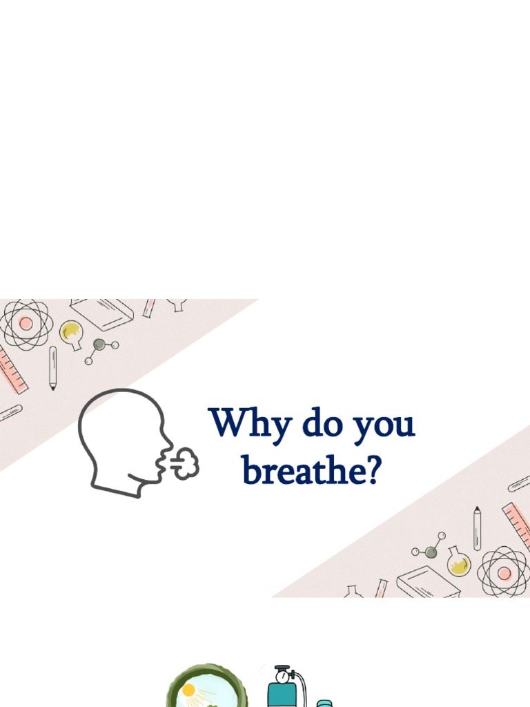 Lesson 3 - Respiratory System | Download Free PDF | Respiratory Tract ...