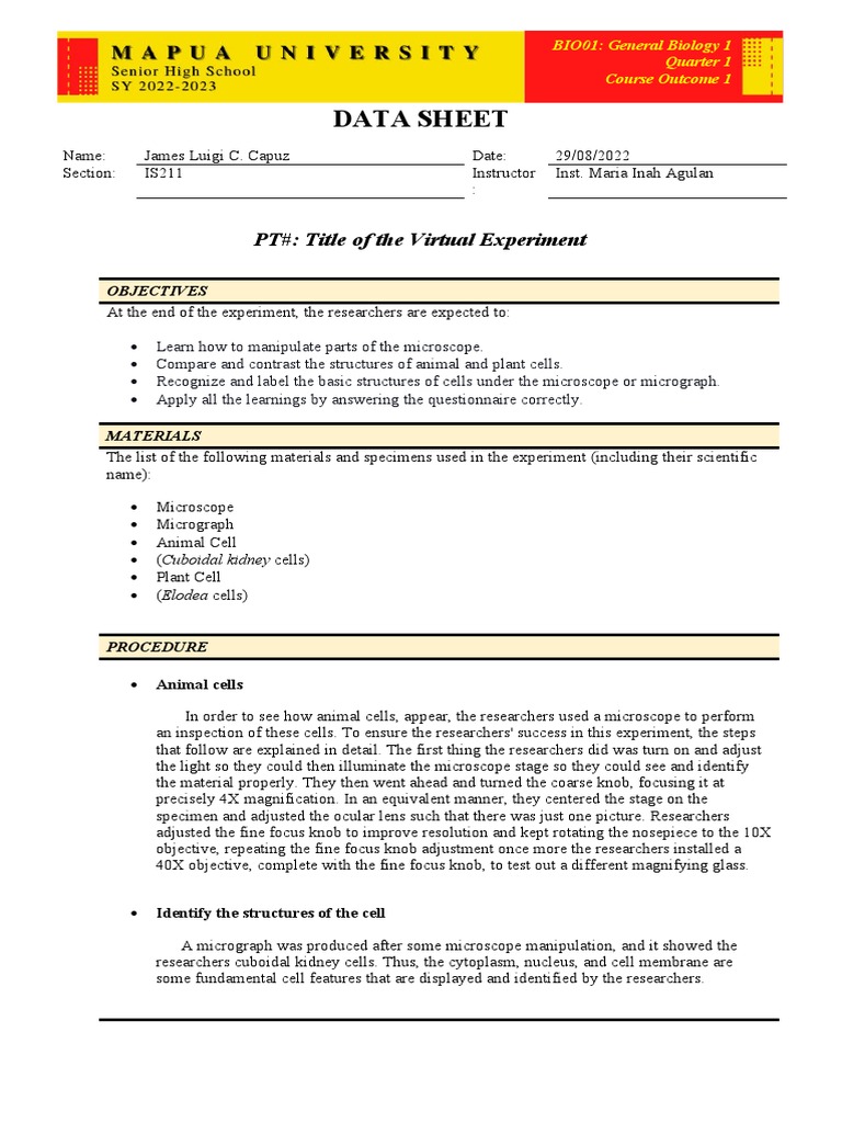 Pt1 Data Sheet Cell Structure Pdf Cell Biology Eukaryotes 