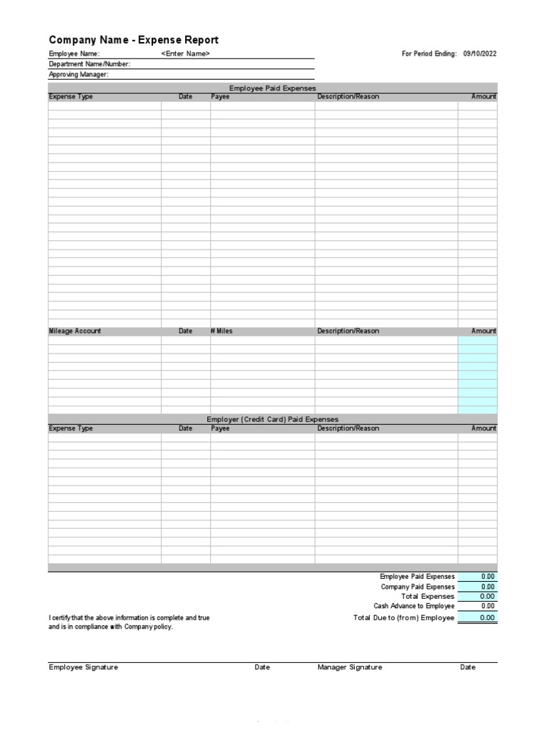 Expense Report Template | Download Free PDF | Credit Card | Cheque