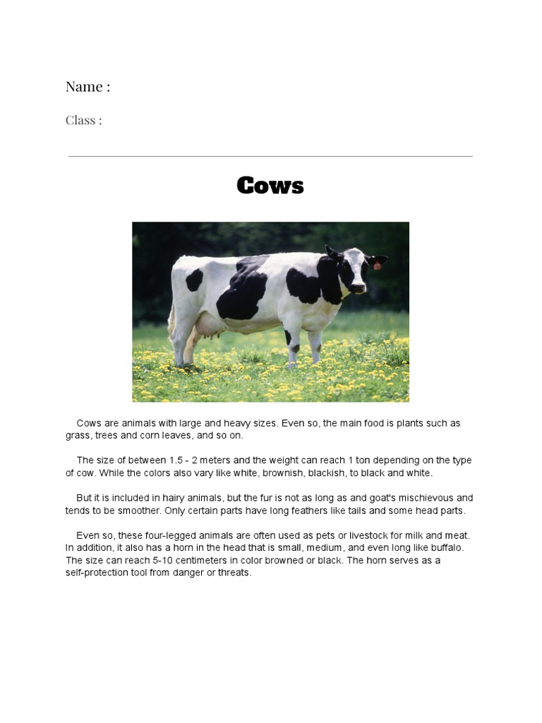 Cows 5 | PDF