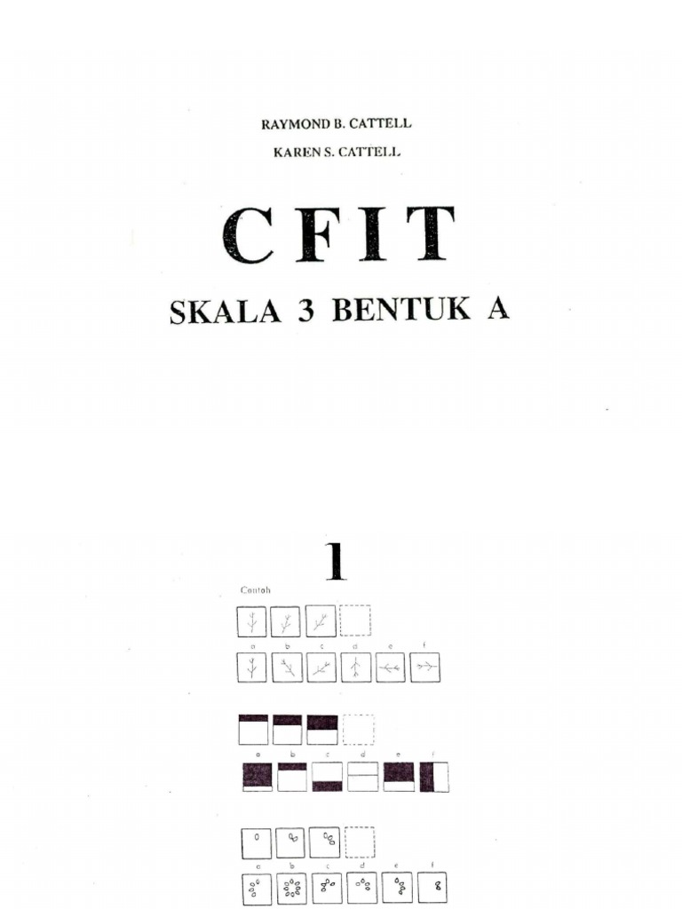 soal CFIT | PDF