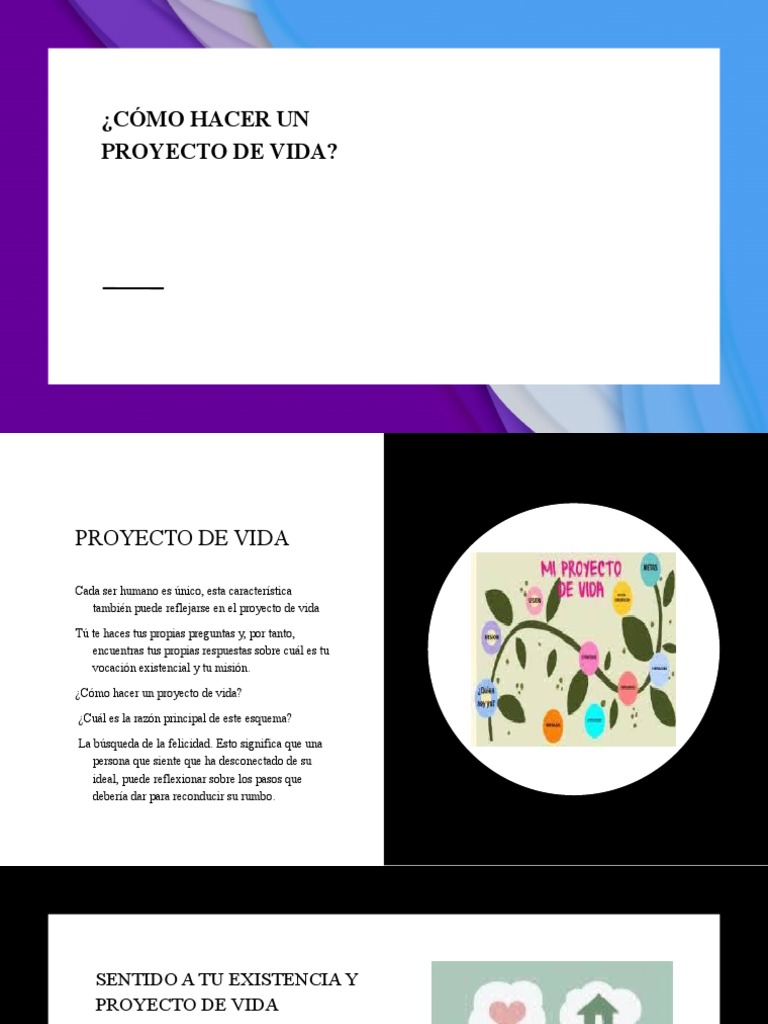 Cómo Hacer Proyecto de Vida | PDF | Felicidad | Business