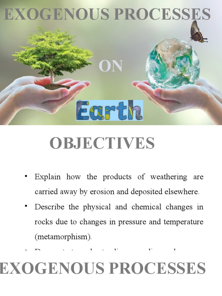 Exogenous Endogenous Process On Earth | PDF | Rock (Geology) | Magma