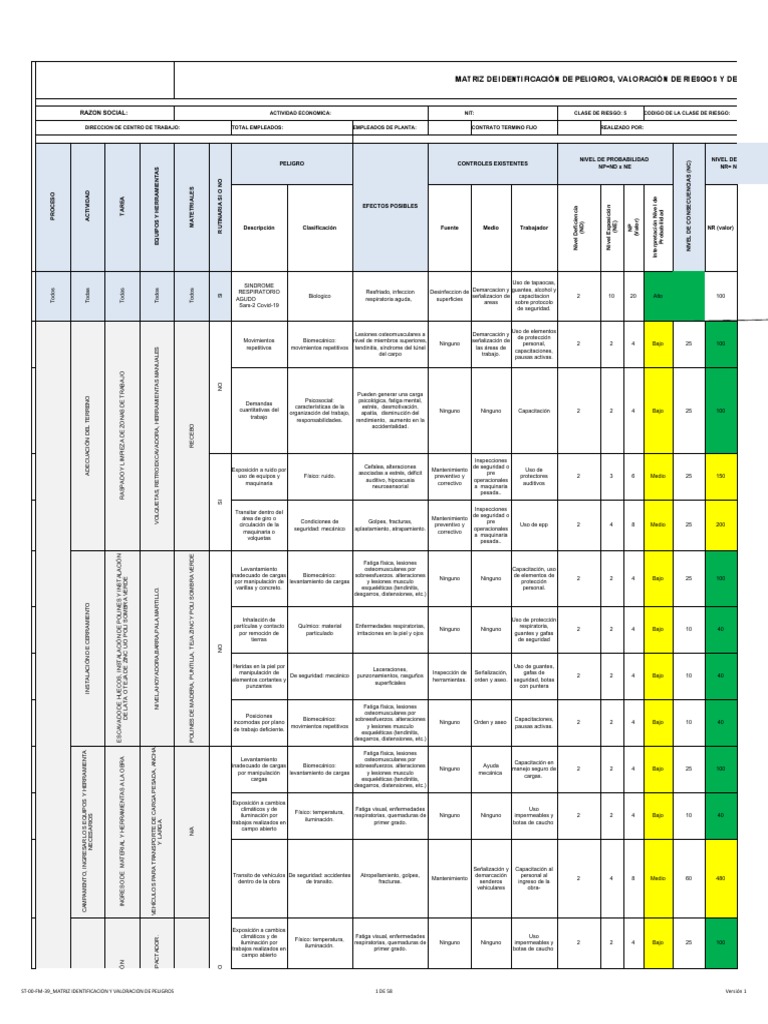 Matriz Identificación de Peligros y Valoración de Riesgos | PDF | Medicina | Causas de la muerte