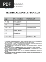 Projet Poulet Goliath | PDF