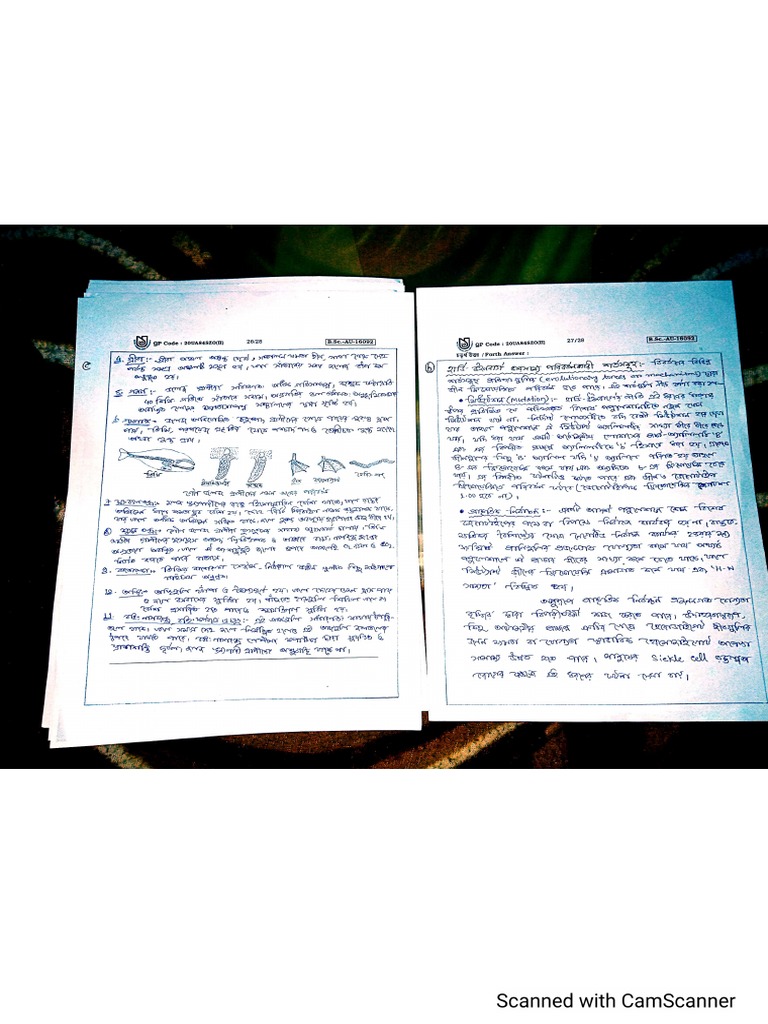 Physics 2B Mat | PDF