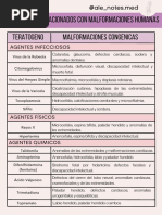 Tipos de Facies y sus Características | PDF | Anatomía humana ...