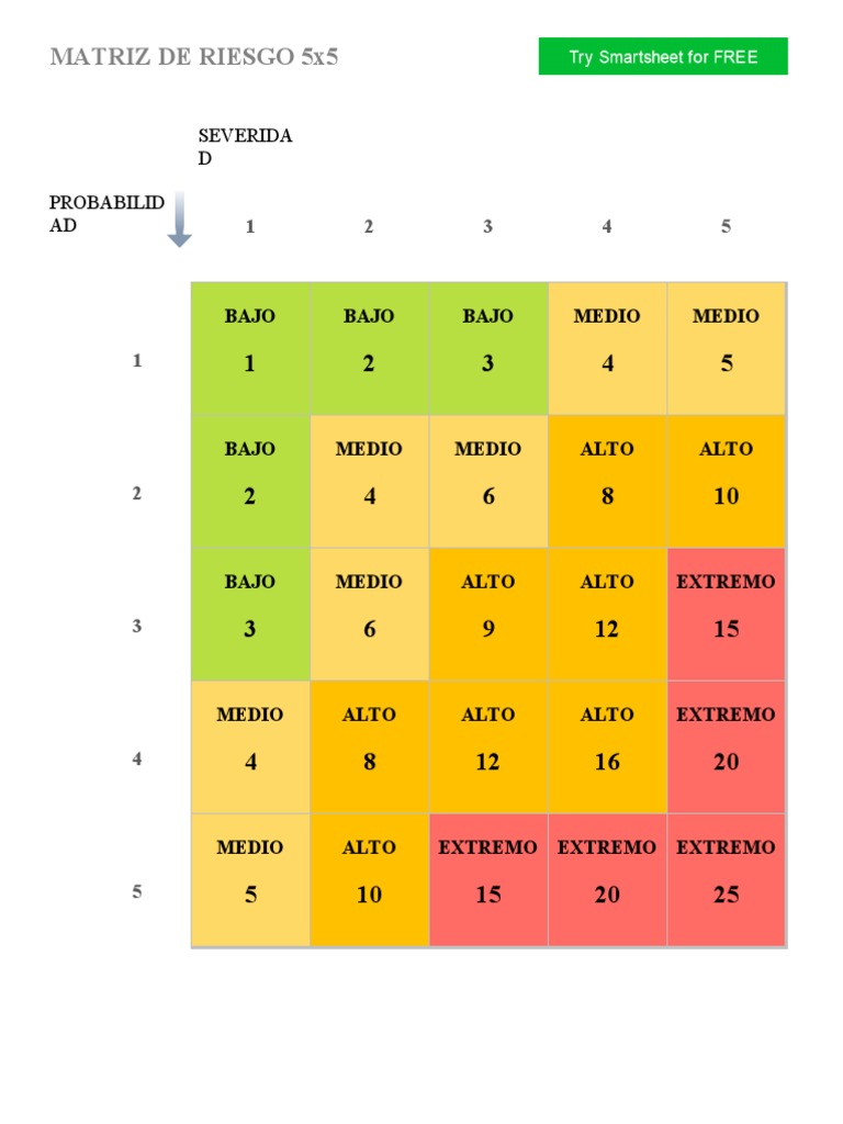 Ic 5x5 Risk Matrix 27139 Word Es | PDF