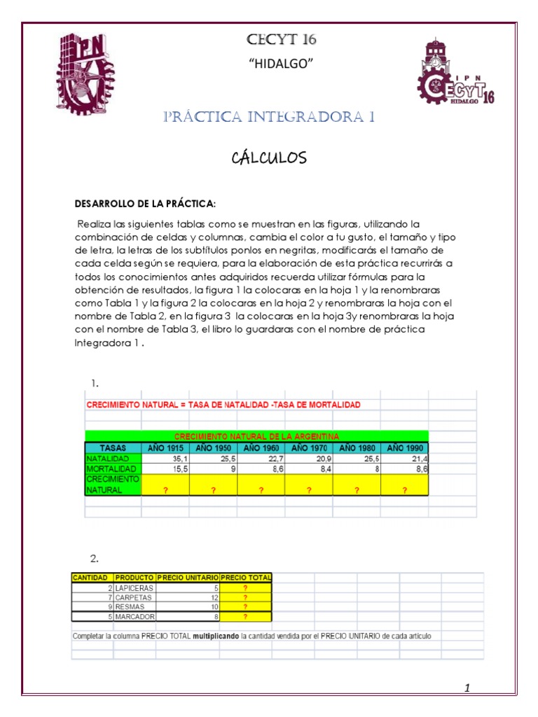 Práctica Integradora 1 | PDF