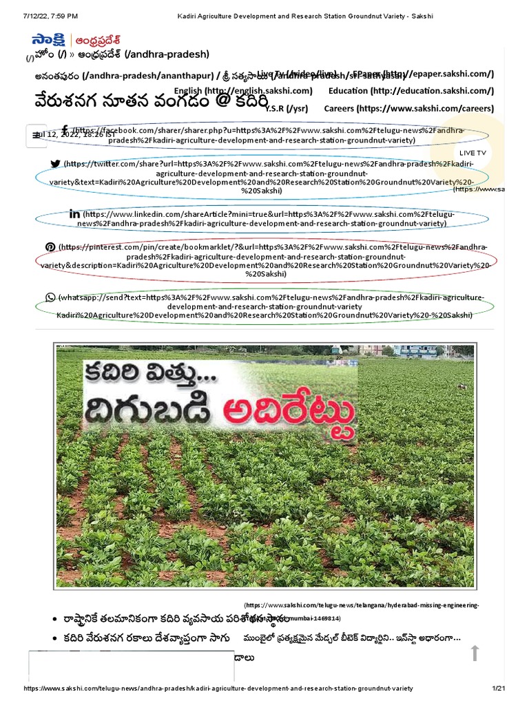 Kadiri Agriculture Development and Research Station Groundnut Variety - Sakshi | PDF