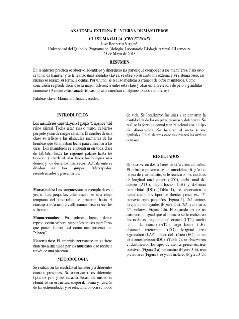 Anatomía del Hámster: Estudio Detallado | PDF | Mamíferos | Reptil