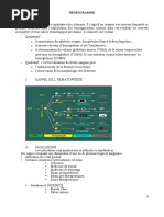 Cours de Physiologie Sanguine | PDF | Globule rouge | Sang