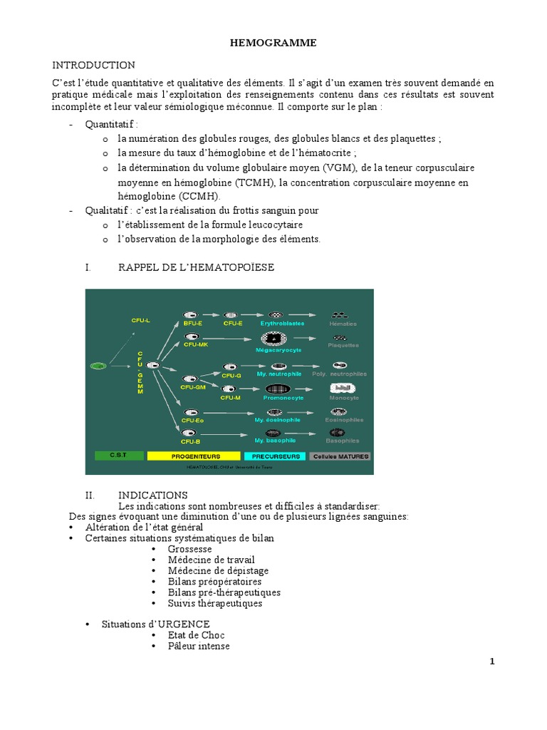 HEMOGRAMME L3 W | PDF | Anémie | Globule rouge
