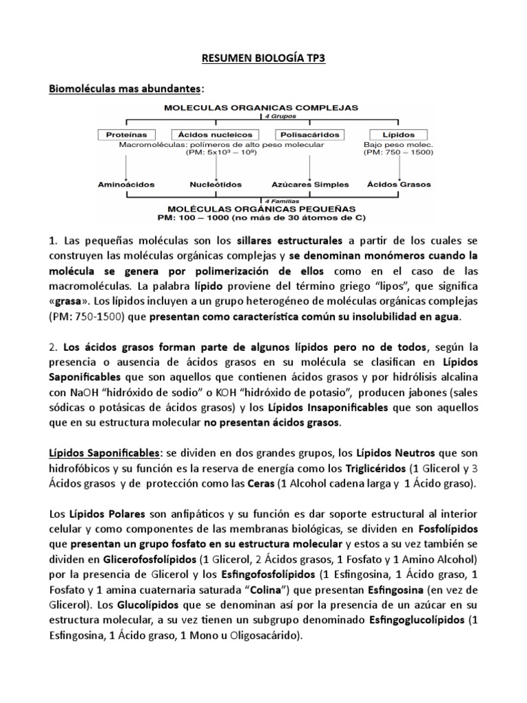 Resumen TP3 Bio Moleculas | PDF | Rna | Estructura proteica