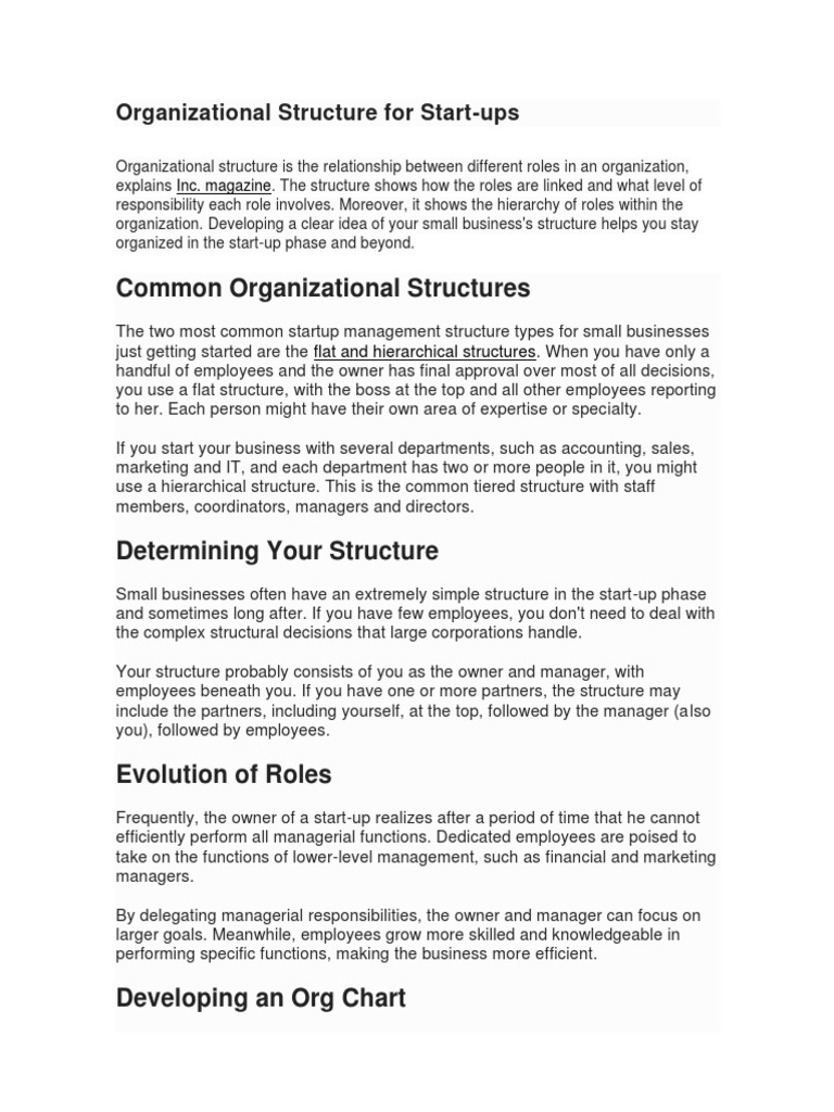 Startup Organizational Structure Guide | PDF | Organizational Structure ...