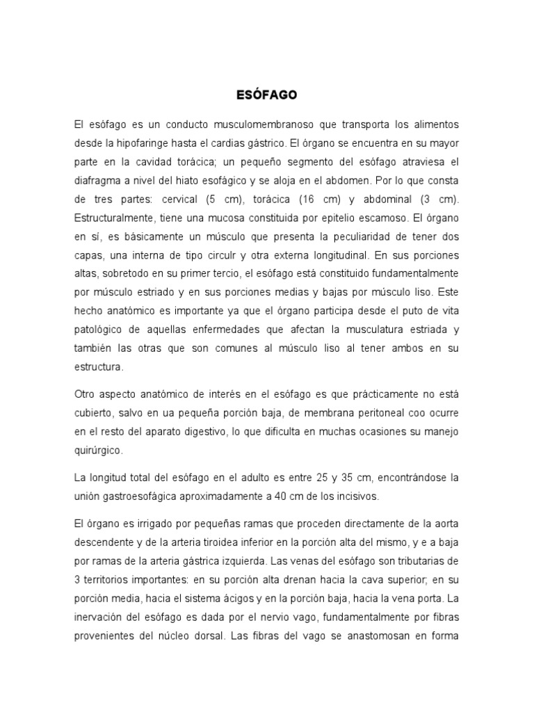 Anatomía y Función del Esófago | PDF | Esófago | Abdomen