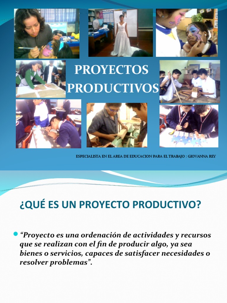 Proyectos Productivo | PDF | Business | Economias