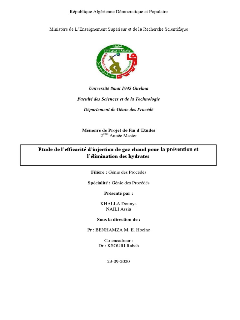 Efficacité de l'injection de gaz chaud | PDF | Gaz naturel | Chaleur