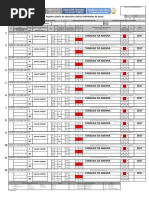 Nuevo Formato HIS | PDF | Medicina | Cuidado de la salud