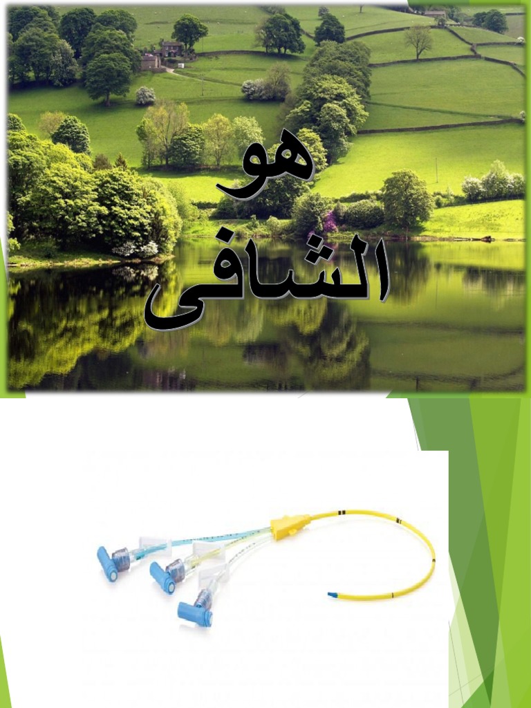 CV - Line | PDF