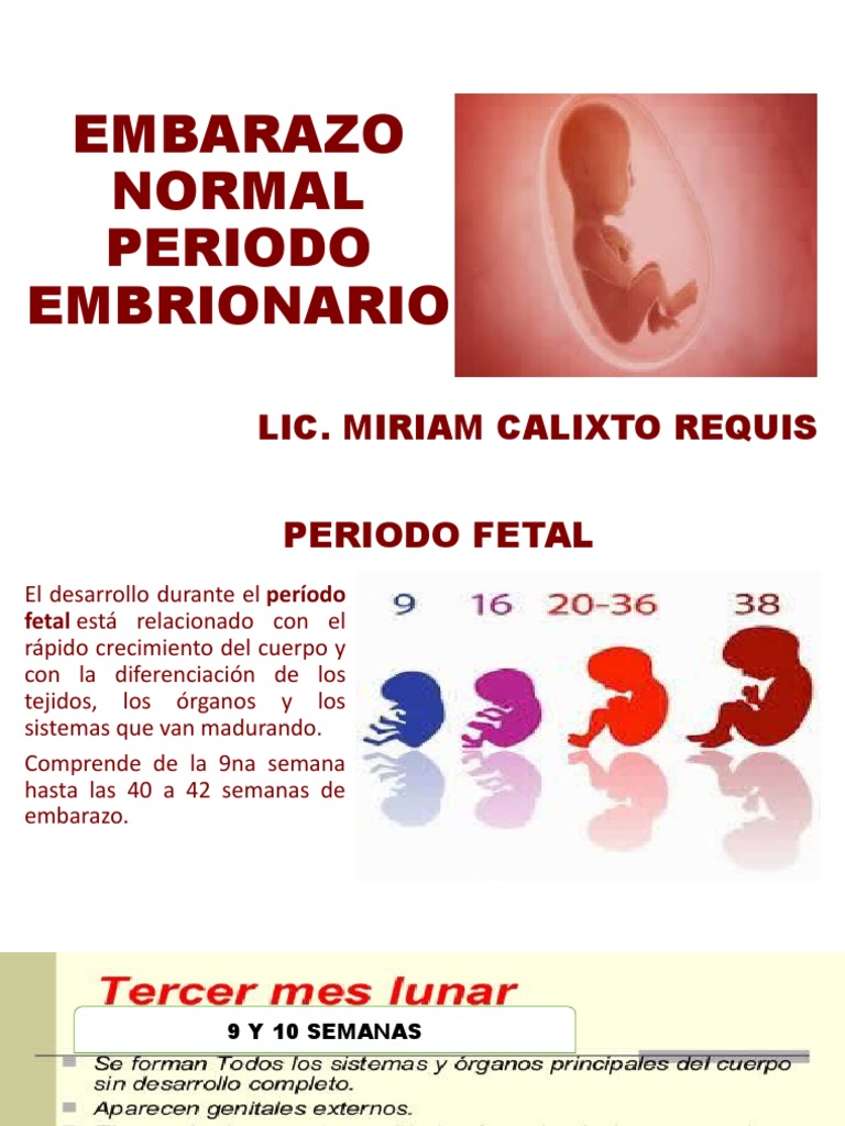 Embarazo - Periodo Fetal | PDF