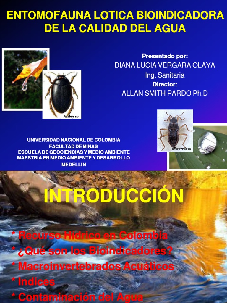 Entomofauna Lotica Bioindicadora de La Calidad Del Agua | PDF | Agua ...