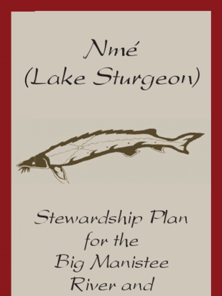 LRBOI Sturgeon Stewardship Plan | PDF | Ecology | Earth Sciences
