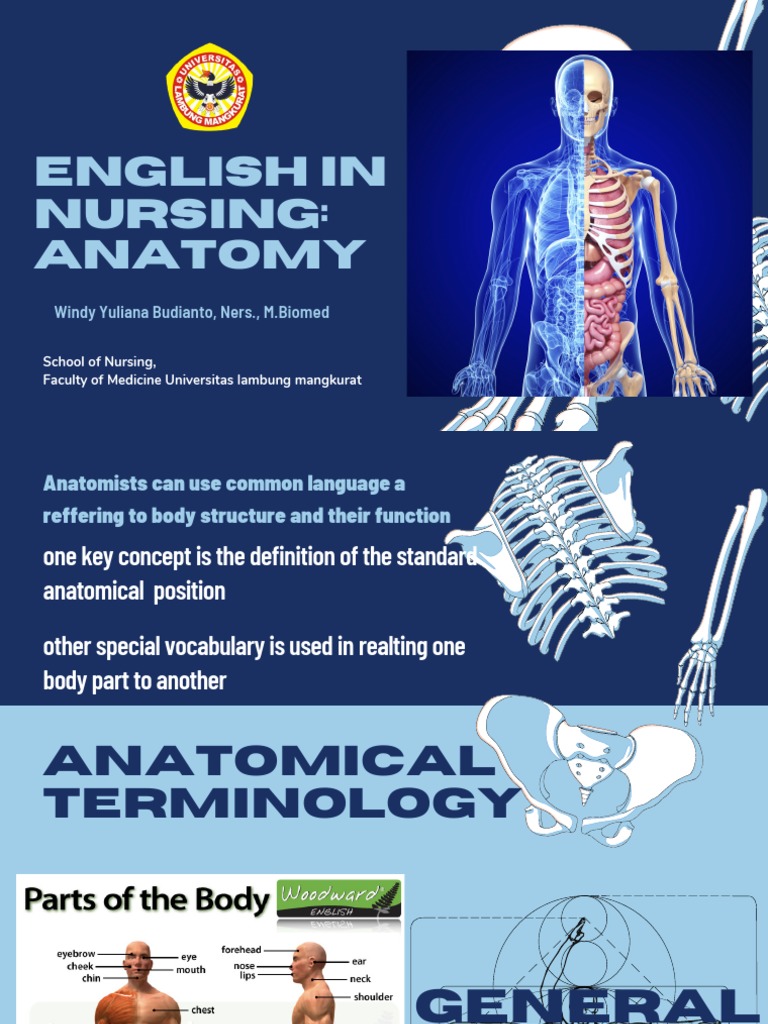 Anatomy Terminology in Nursing | PDF