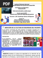 Triptico Aesp Laila Villegas | PDF | Seguridad del paciente | Medicina CLINICA