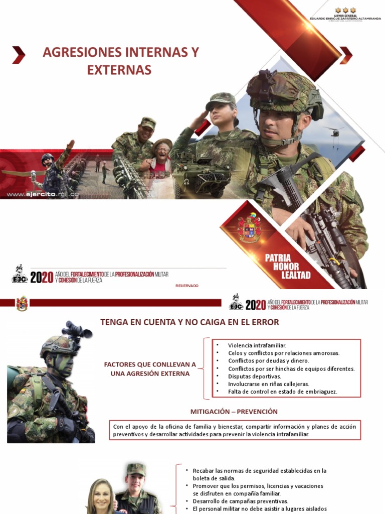 Agresiones Internas y Externas | PDF