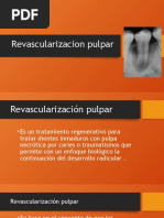 Analisis de Rocabado | PDF | Anatomía | Trastornos musculoesqueléticos