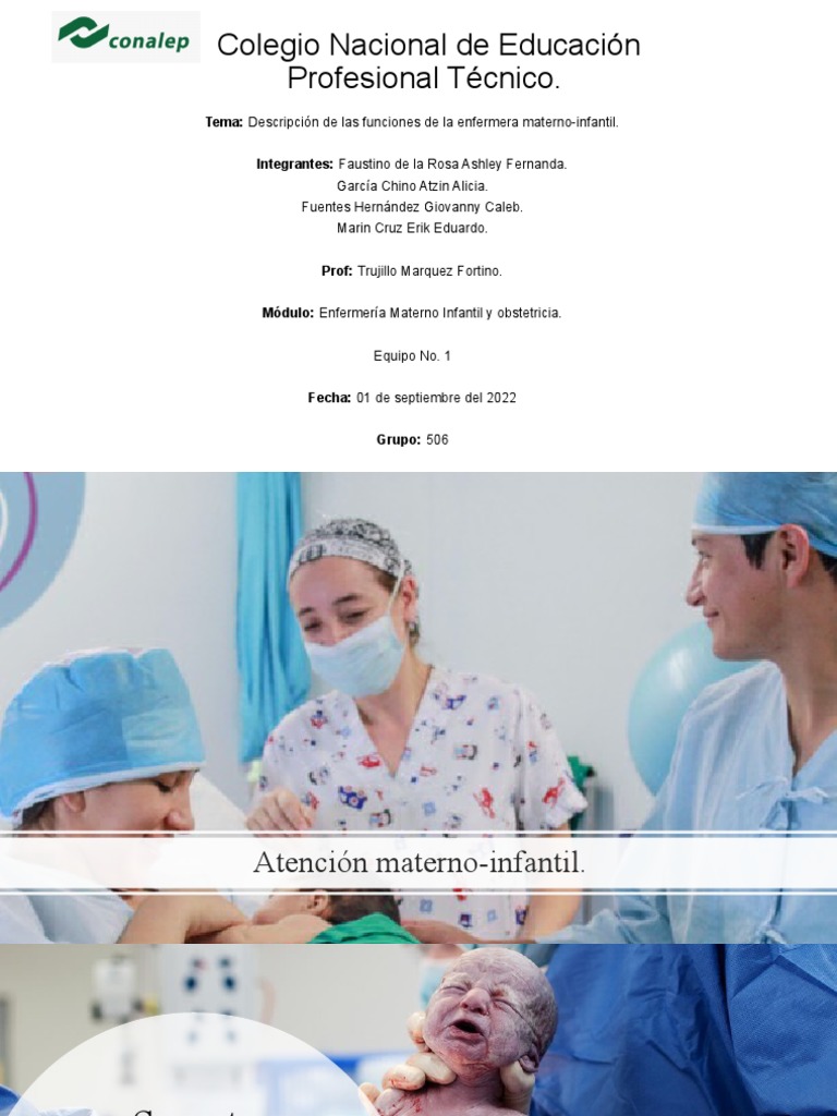 Funciones De La Enfermera Materno Infantil Pdf Partería Enfermería