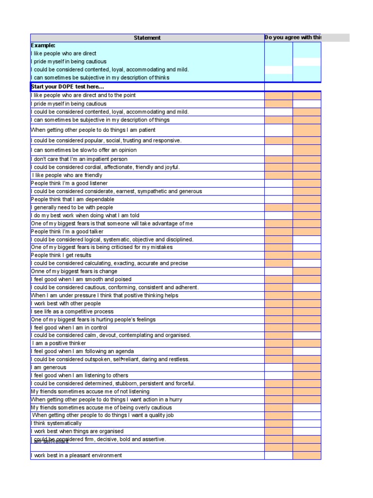 DOPE Test: Self-Assessment Statements | PDF | Self-Improvement
