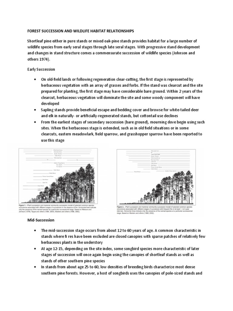 Forest Succession and Wildlife Habitat | PDF | Forests | Canopy (Biology)