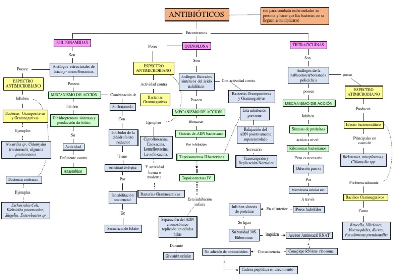 Mapa Conceptual de Antibiotico | PDF | Las bacterias | Bacterias Gram ...