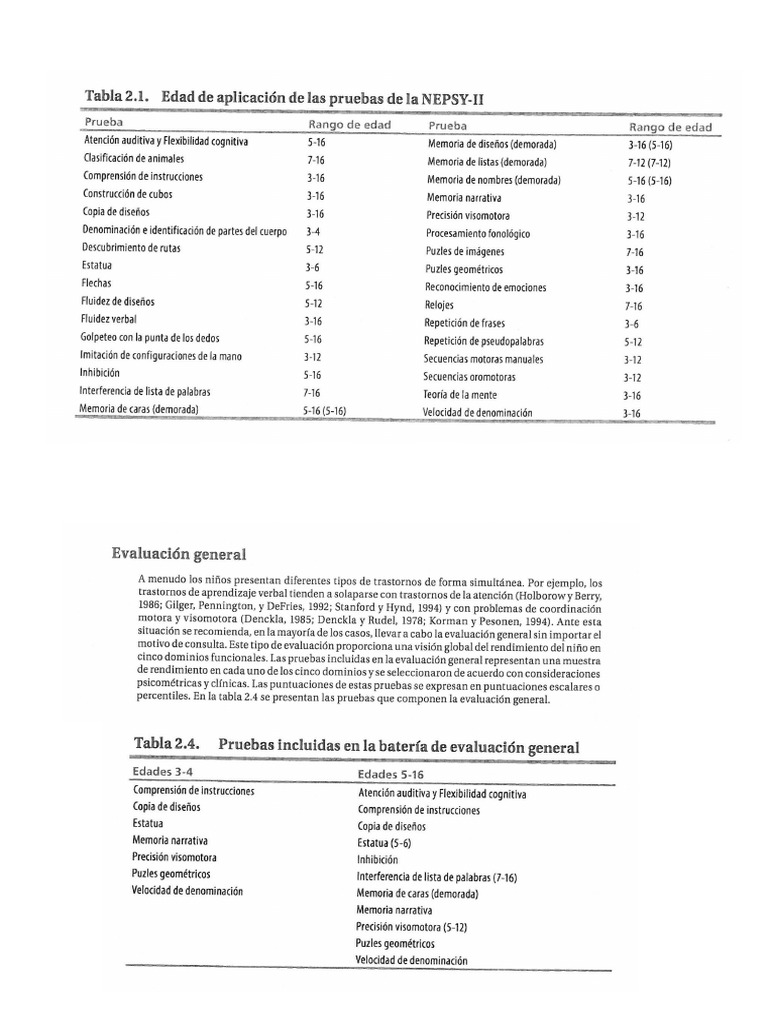 NEPSY II para Imprimir | PDF