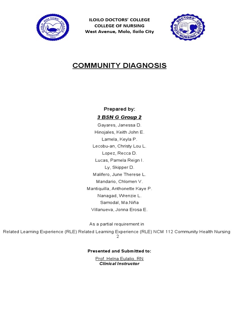 Community Diagnosis | PDF | Nursing | Family