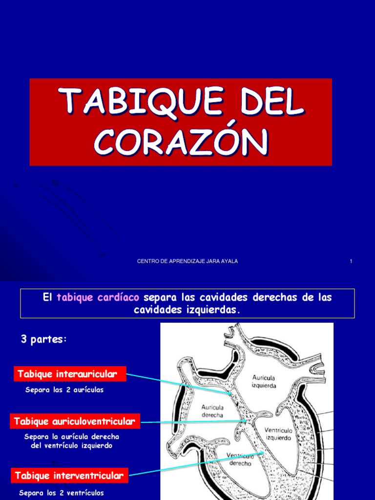Caja - Corazón 2 | PDF | Corazón | Angiología