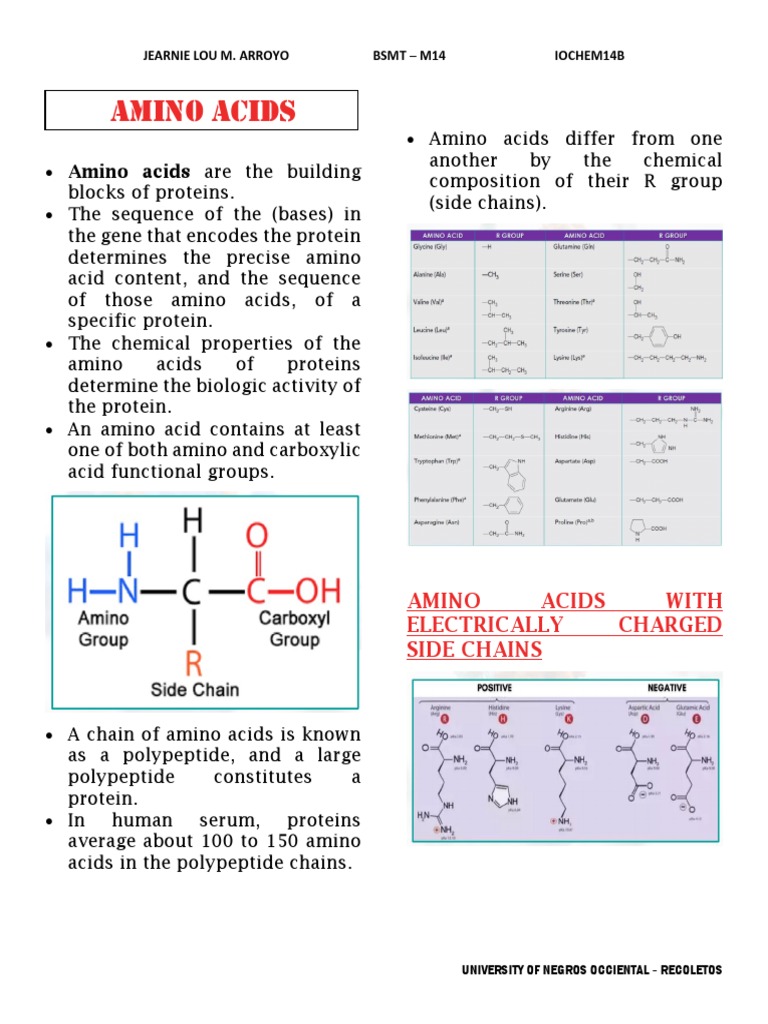 Amino Acids & Proteins | PDF | Amino Acid | Proteins
