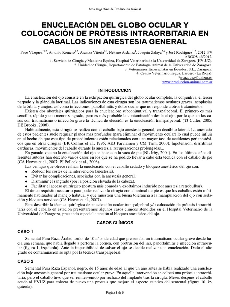 17-Enucleacion Equinos | PDF | Cirugía | Ojo