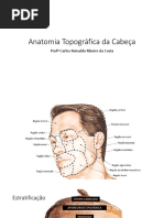 Forames Do Crânio | PDF | Neuroanatomia | Anatomia humana