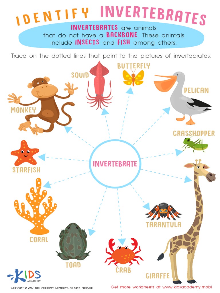 Grade 3 Invertebrates Worksheet For Grade 3 | PDF | Science & Mathematics