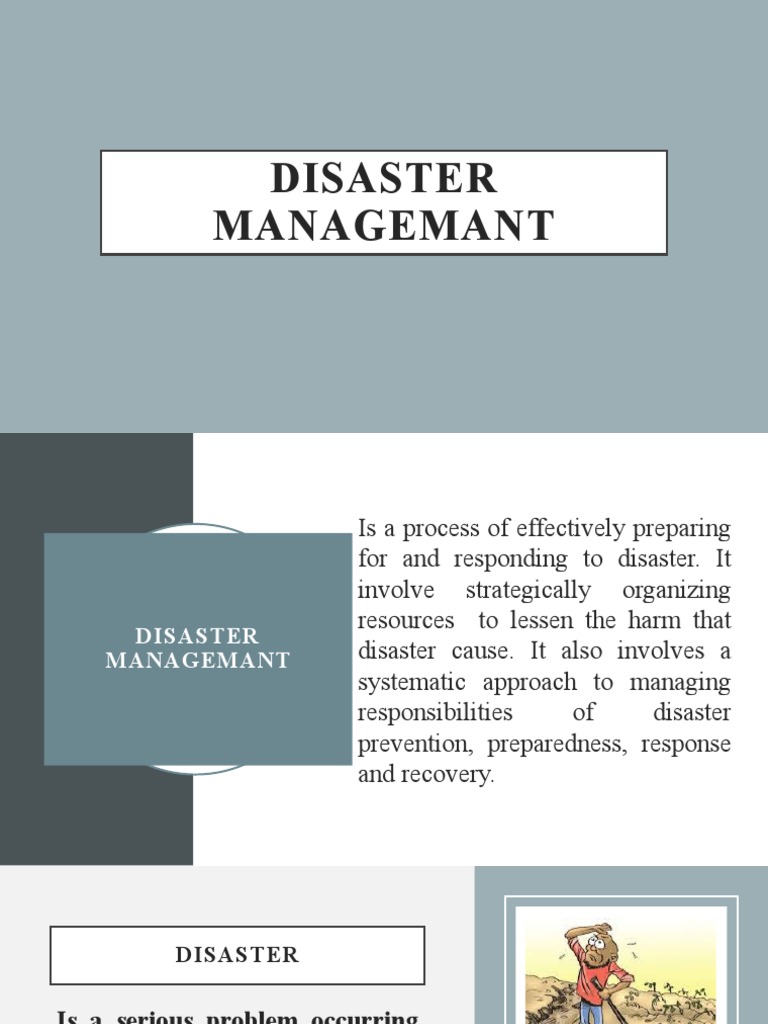 Disaster Management | PDF
