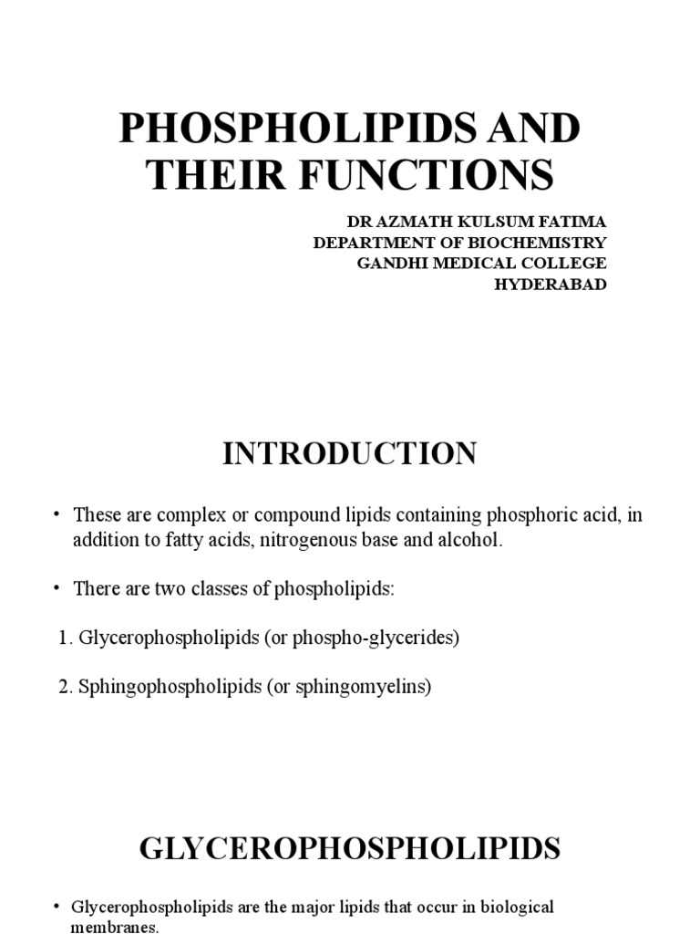 Phospholipids & Their Functions | PDF | Lipid | Natural Products
