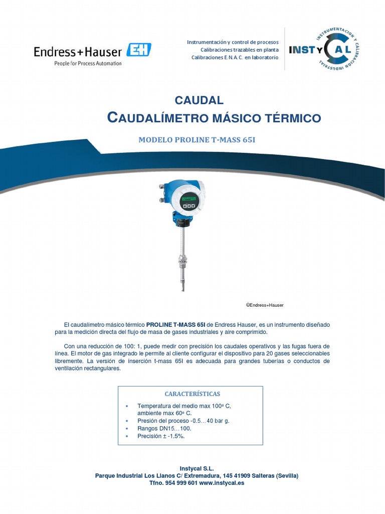 Endress Hauser Caudalímetro Masico Termico Proline T Mass 65I | PDF ...