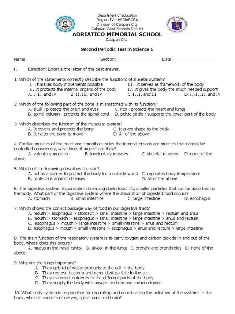 Science 6 Second Periodic Test Guide | PDF | Human Body | Heart