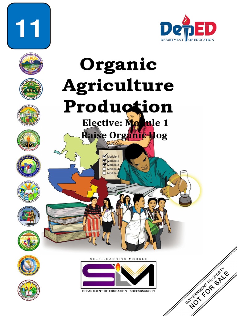 G11 - Elective - M1 - OAP - HOG - LO1 - Select Healthy Domestic Hog ...