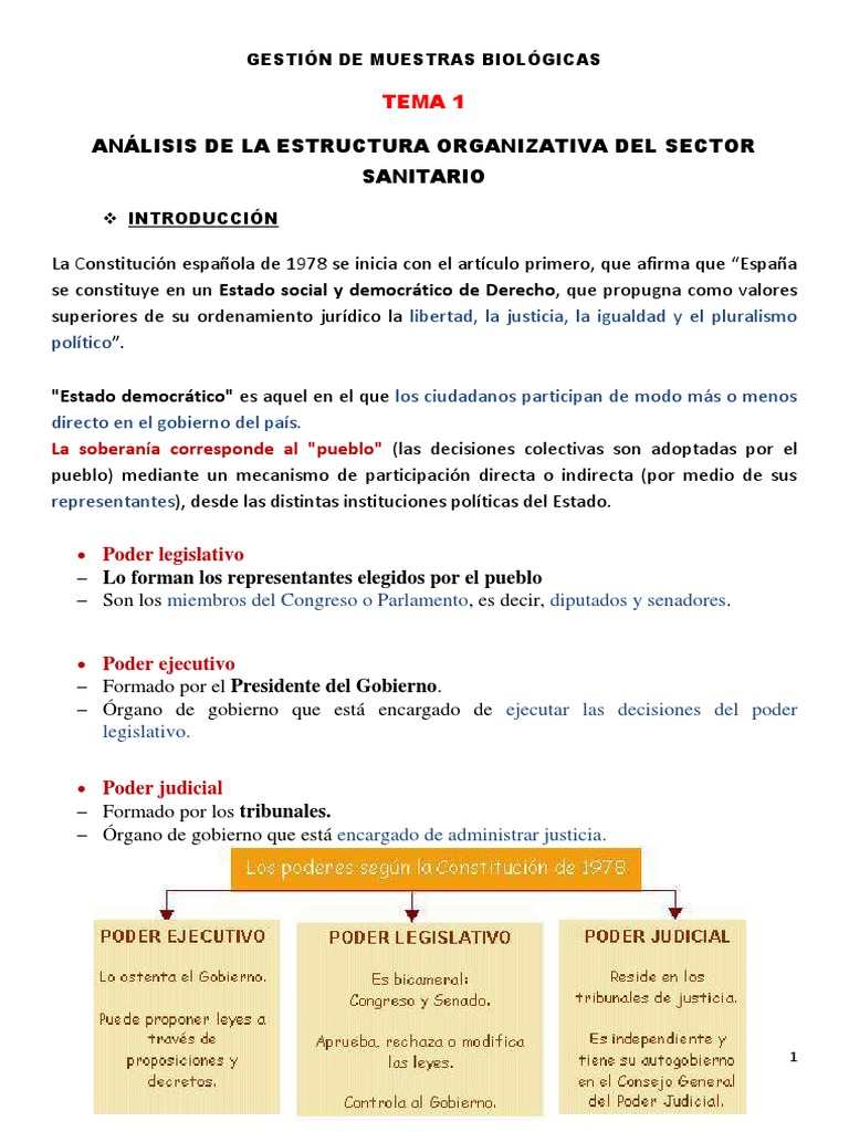 Análisis de La Estructura Organizativa Del Sector Sanitario: Tema 1 | PDF | Oferta (economía ...